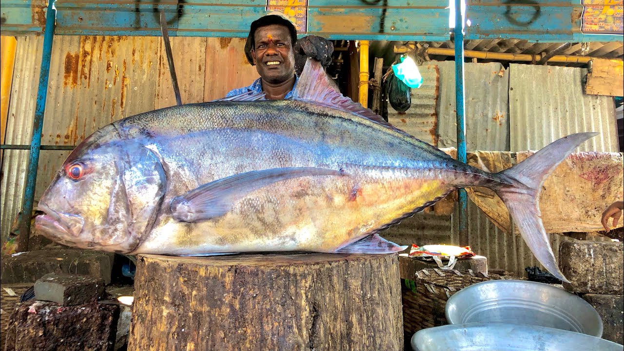 💥KASIMEDU BIG 😱PAARAI FISH CUTTING VIDEO / kING FISH CUTTING/🔪# ...