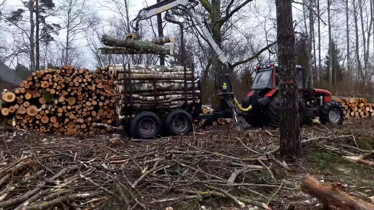 Belarus 952.3 with a trailer Kesla (timber unloading) - YouTube