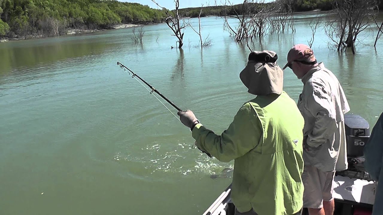 Fishing at One Tree Beach - Assorted fishing captures Pt 1 - YouTube