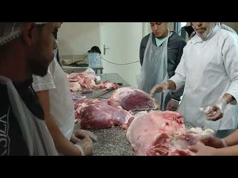 ART8.     =  GLOBE +ALLOYAU 