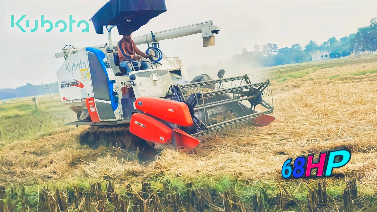 Kubota Harvester King 2 Paddy Cutting | New Harvester - YouTube