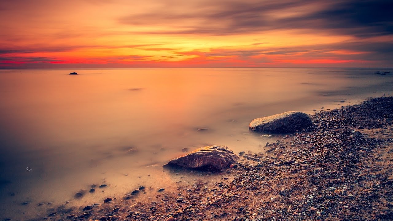 Rex Orange County - SUNFLOWER - YouTube