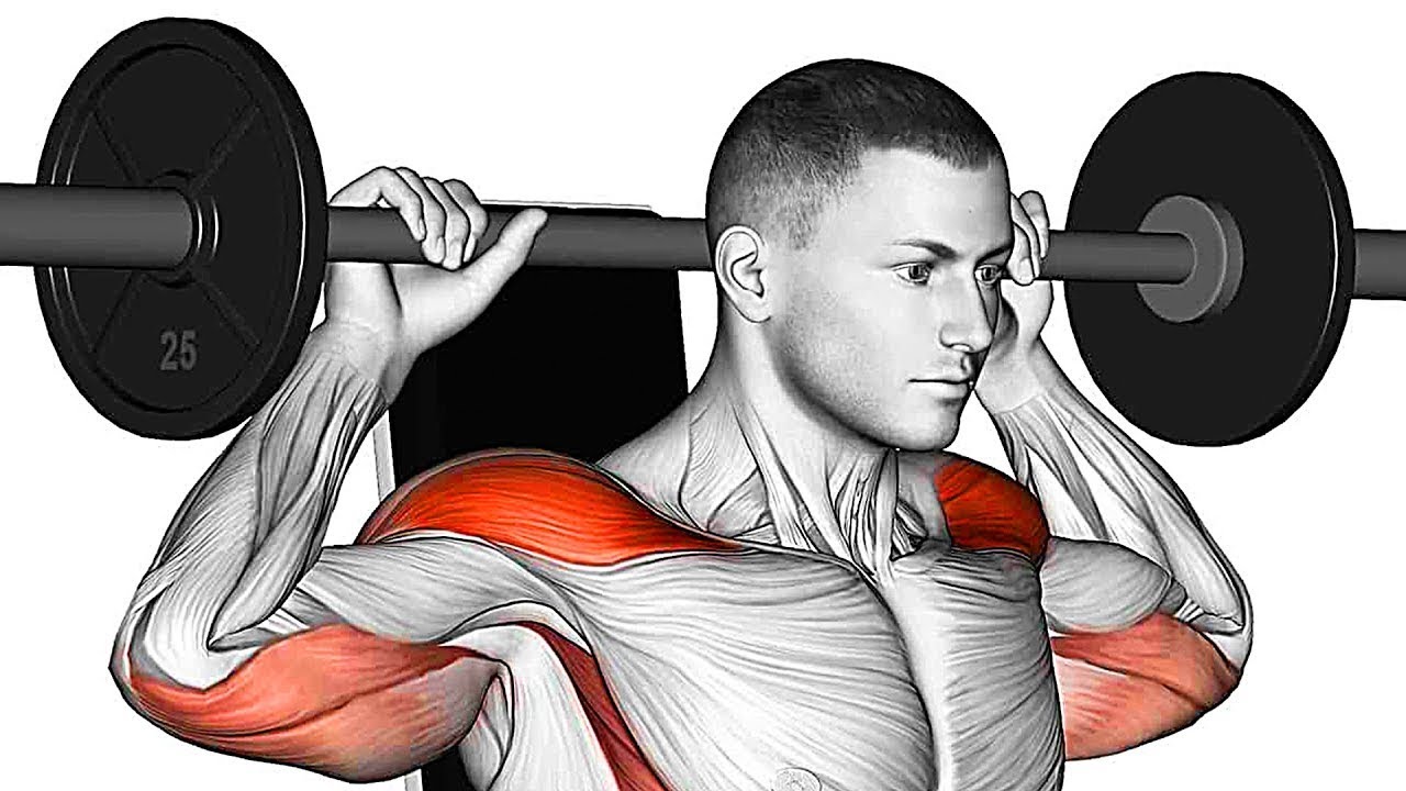 The Best Shoulder Exercises Barbell Only أفضل تمارين الكتف بالبار