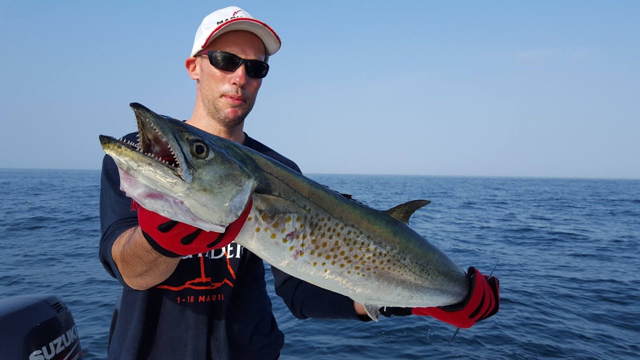 thazard au feed popper - YouTube