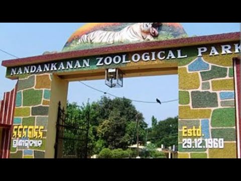 NANDANkANAN ZOO|| Nandankanan Zoological Park|| (ODISHA). - YouTube
