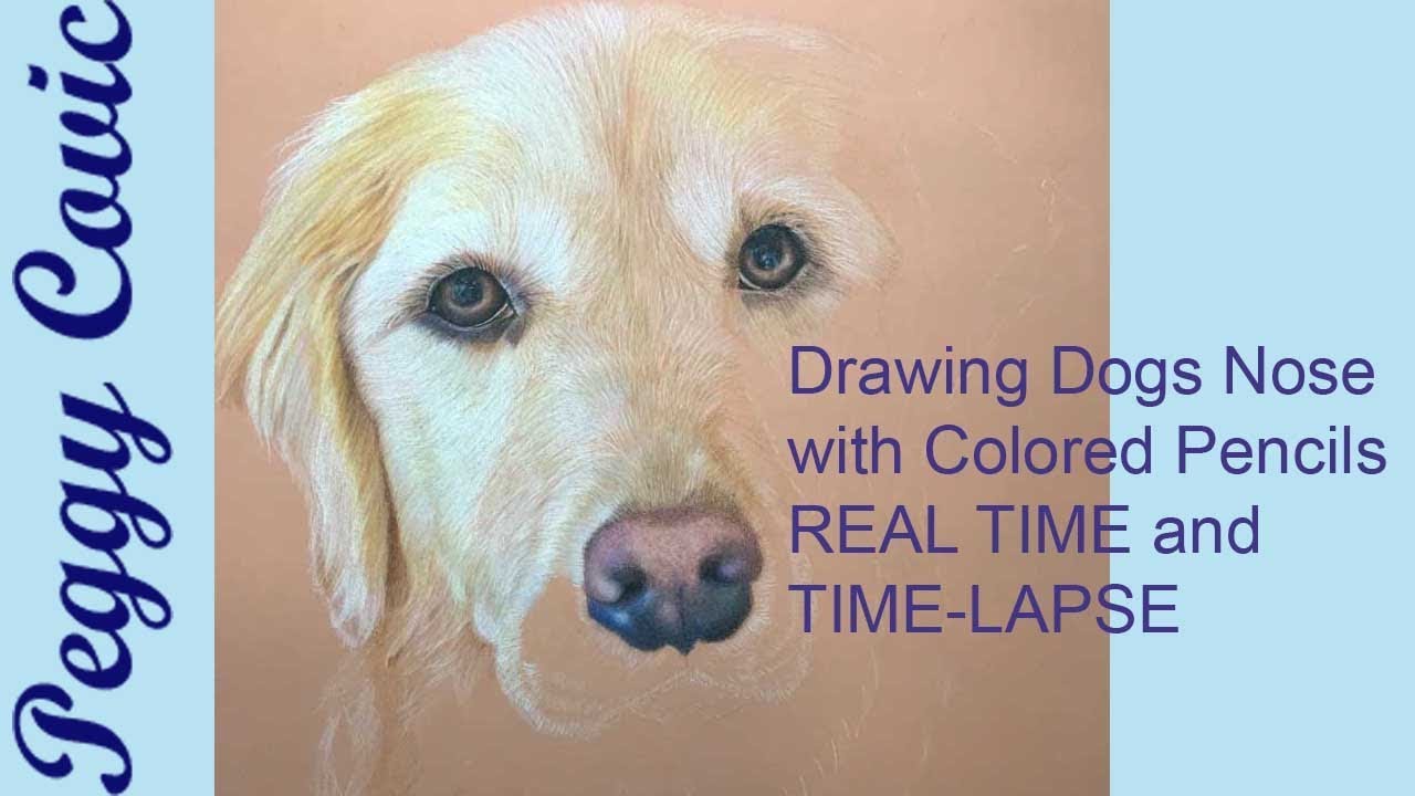 Drawing A Dog s Nose In Colored Pencils YouTube drawing-a-dog-s-nose-in-colored-pencils-youtube