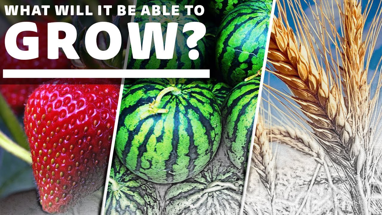 The Future Of Vertical Farming - YouTube