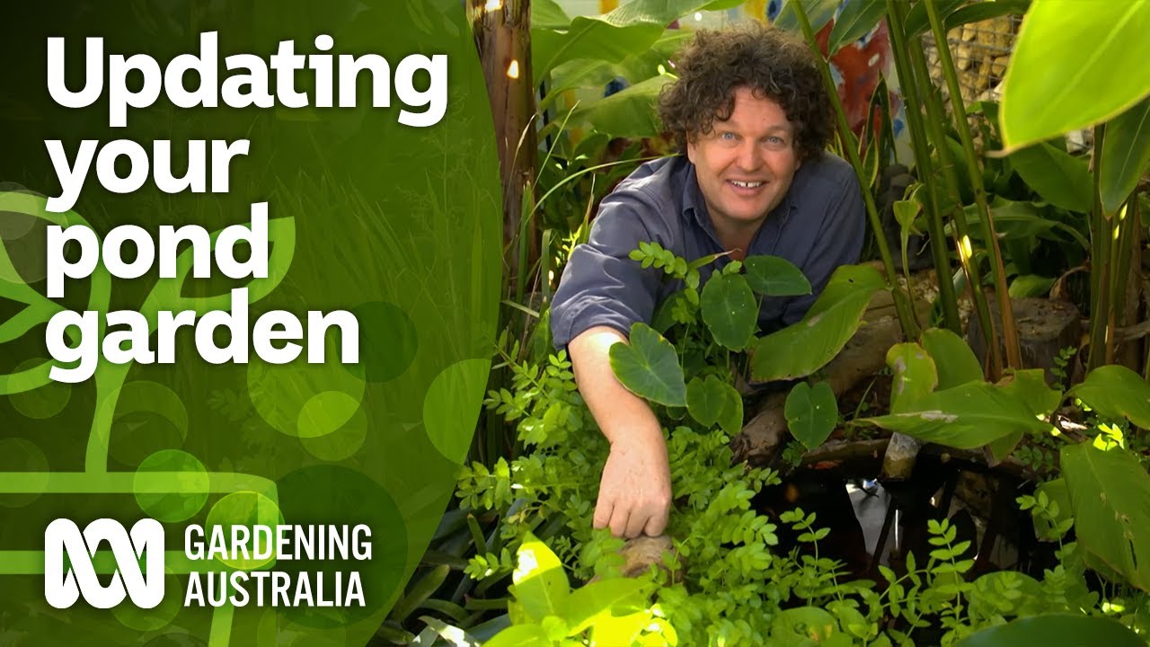 How to update your edible pond garden | DIY Garden Projects | Gardening ...