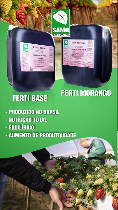 Ferti Base + Ferti Morango - YouTube