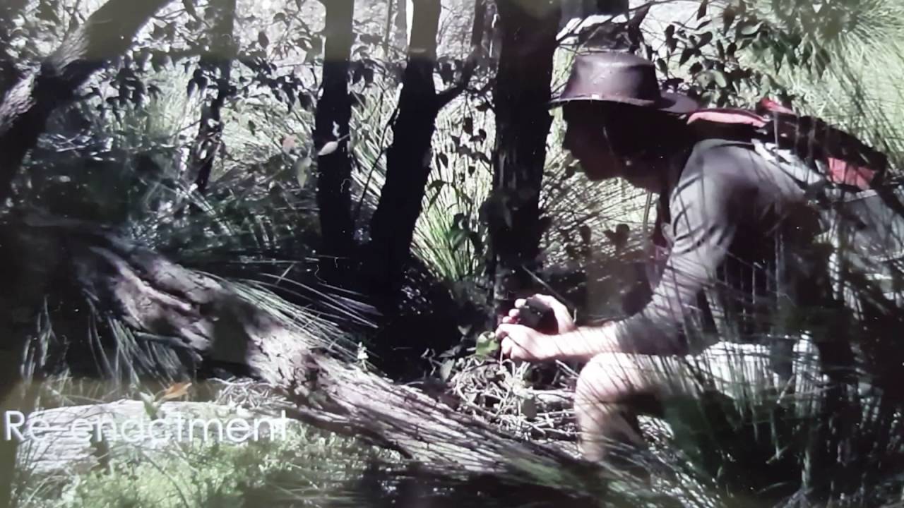 Yowie sighting filmed HD close up in Australia . - YouTube