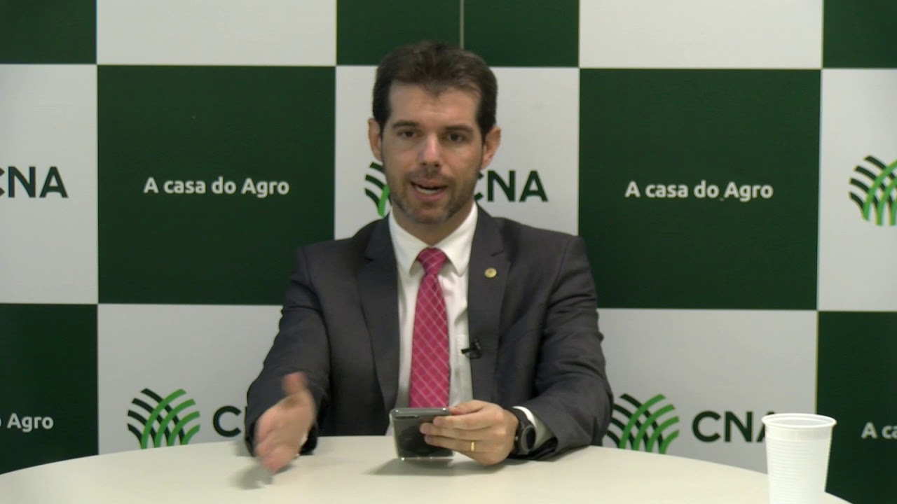 Live Bruno Lucchi - YouTube