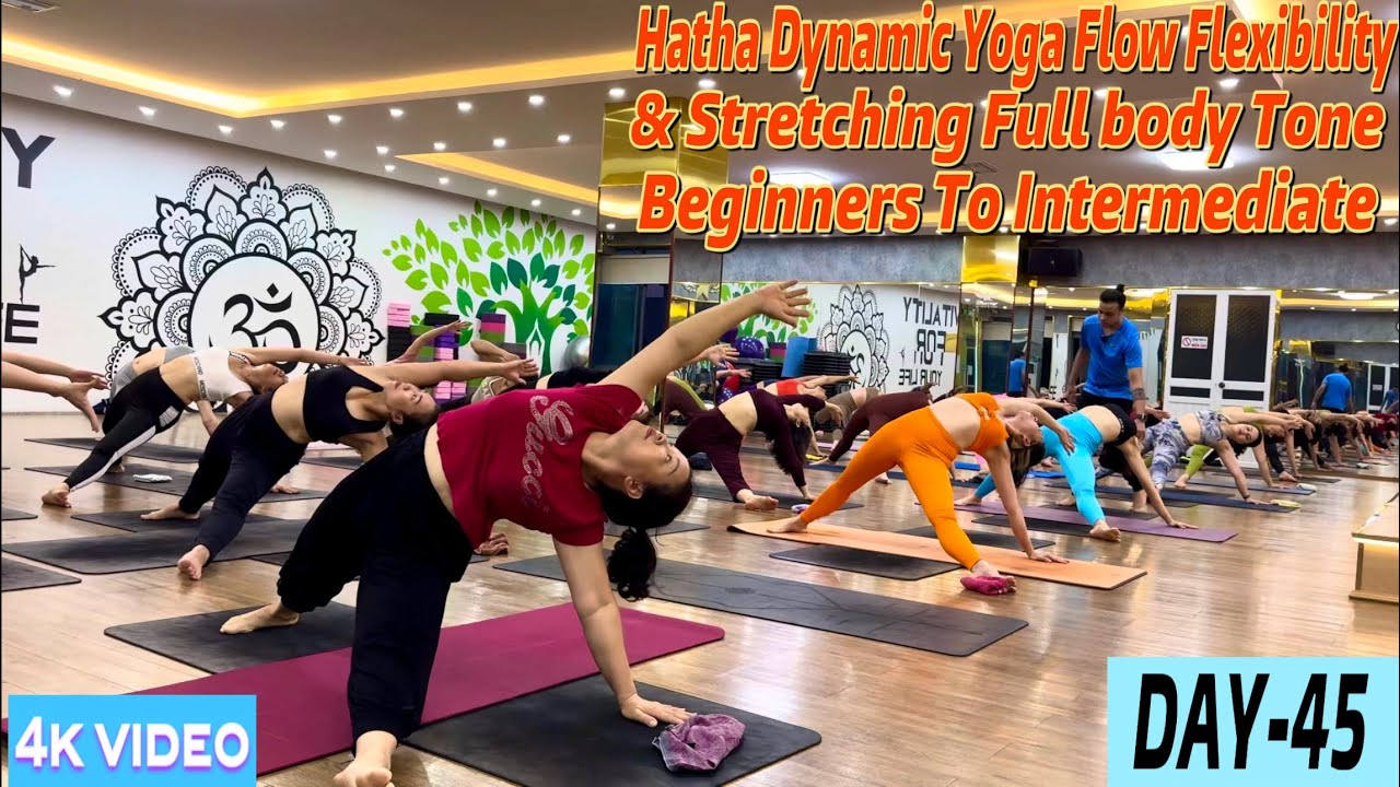 DAY-45 Hatha Dynamic Yoga Flow Flexibility & Stretching Full Body Tone ...