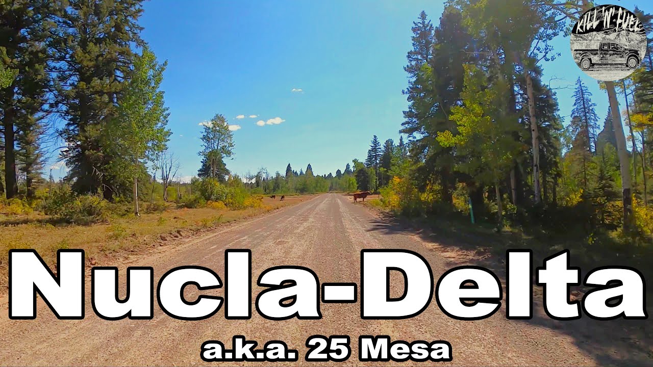 4K Nucla-Delta Dirt Road Trip Through the Uncompahgre National Forest ...