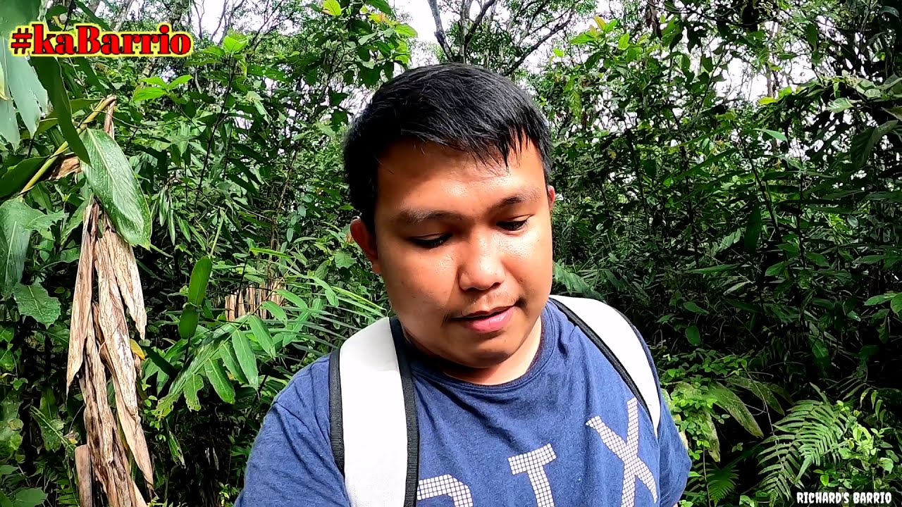 Pagdalaw sa Bukid | Mga Tanim sa Bukid (Saging - Rambutan - Calamansi) - YouTube