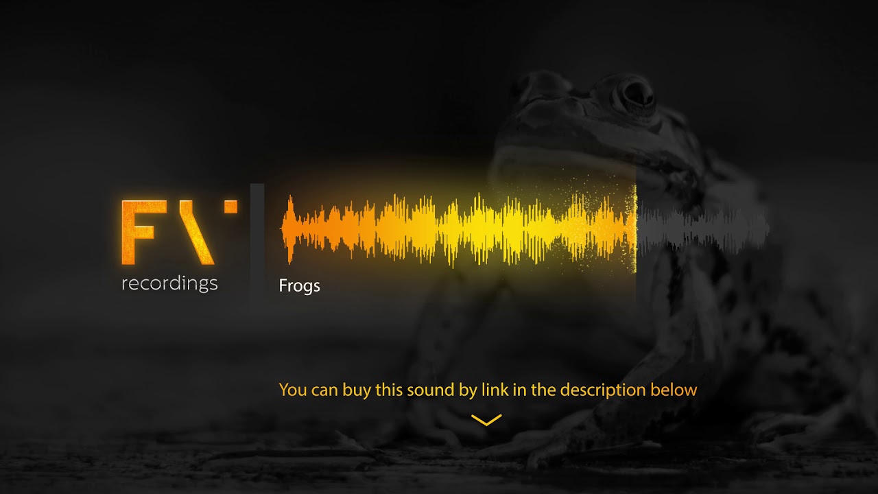 Frogs Sound Effect - YouTube