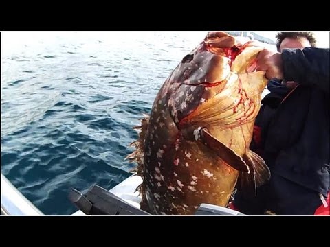 JIGGING-7 grouper ΡΟΦΟΣ ΕΝΑ ΨΑΡΙ ΠΟΛΥ ΜΕΓΑΛΟ sotos fishing.wmv - YouTube