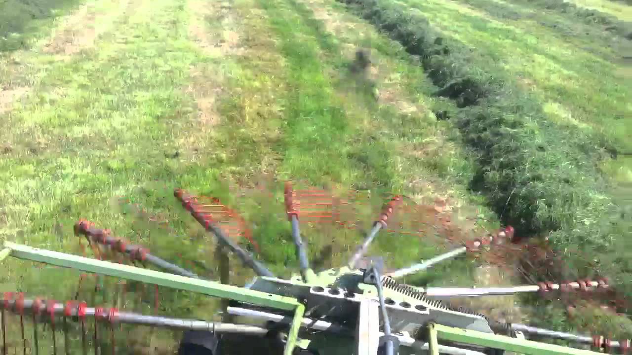 Raking together 2nd cut silage for round baling. Claas Liner 430 S rake ...