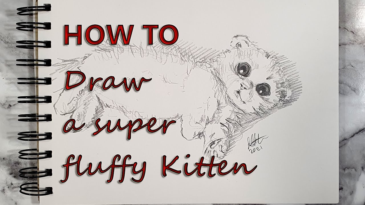 How to draw a realistic super fluffy kitten - YouTube