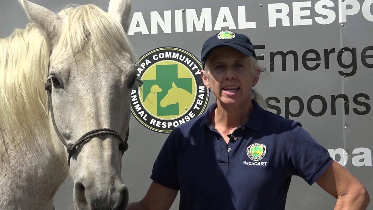 Napa Community Animal Response Team Overview - YouTube