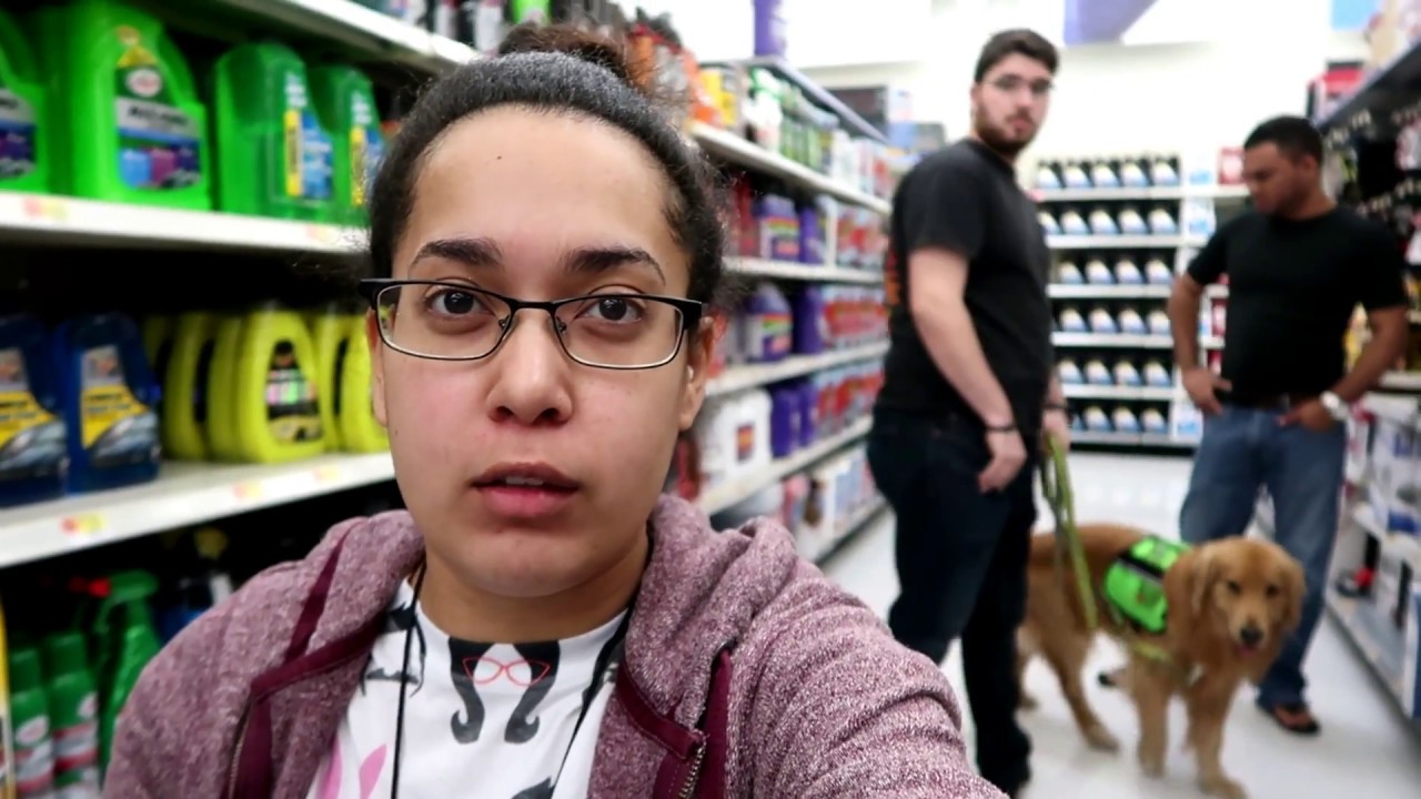 🐶Orion Dealing with a Fake Service Dog 🐾. 2/4/2018 - YouTube