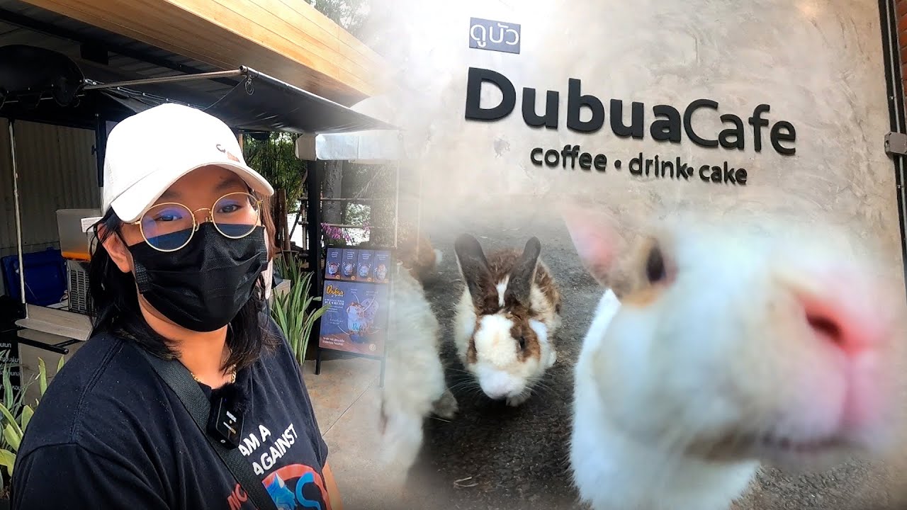 Visiting Dubua Cafe in Thailand! | Thai-LOG - YouTube