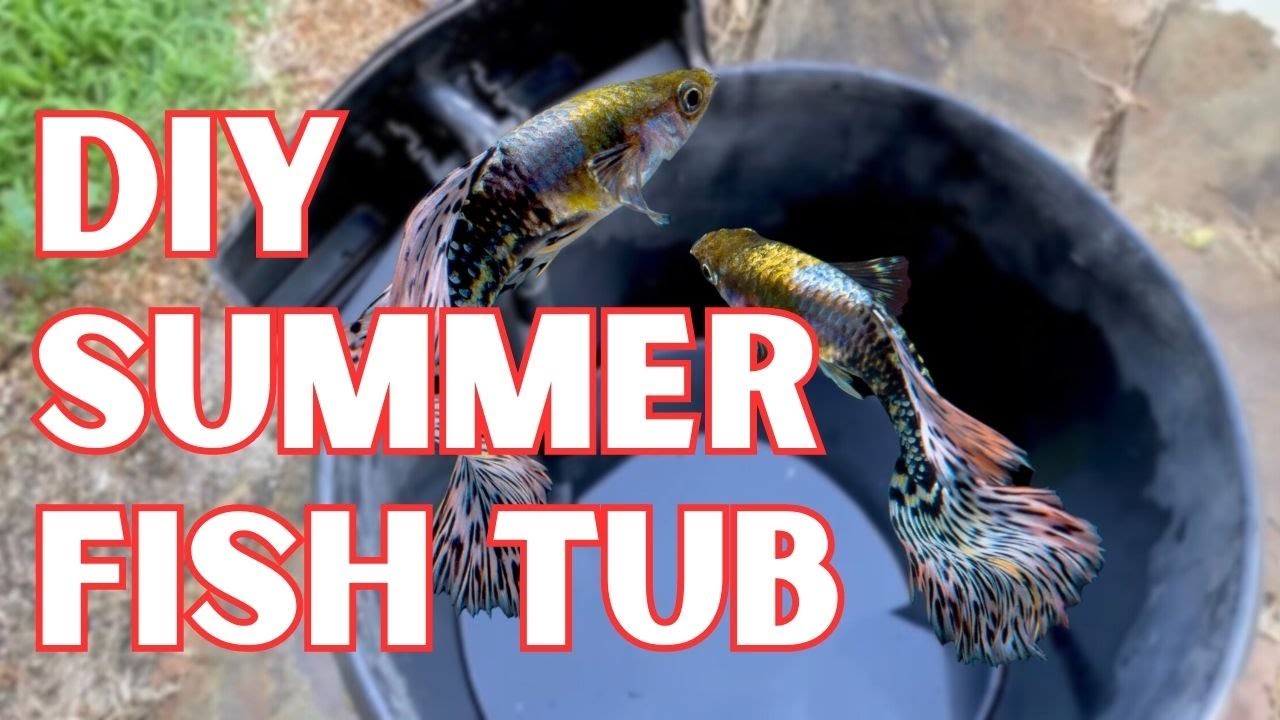 DIY Summer Fish Tub - YouTube