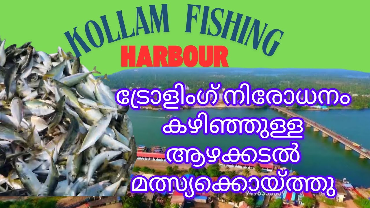 Fishing at Neendakara Harbour: A Breathtaking Experience! - YouTube