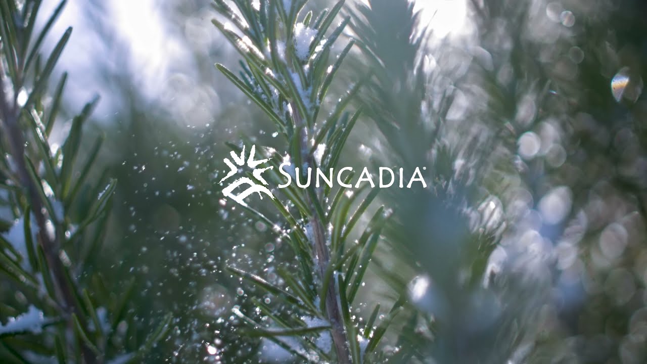 Experience Suncadia - Winter Activities Part 1 - YouTube