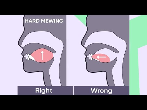 mewing vs yapping - YouTube