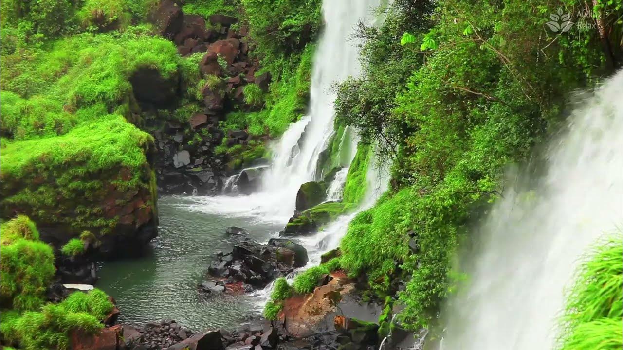 10 hours Beautifull rainforest waterfall sounds. Nature white noise ...