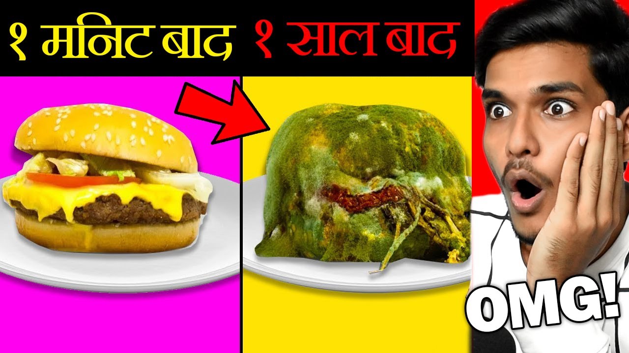 Burger After 1 Year | FOOD Time Lapse Video Will SHOCK YOU - YouTube