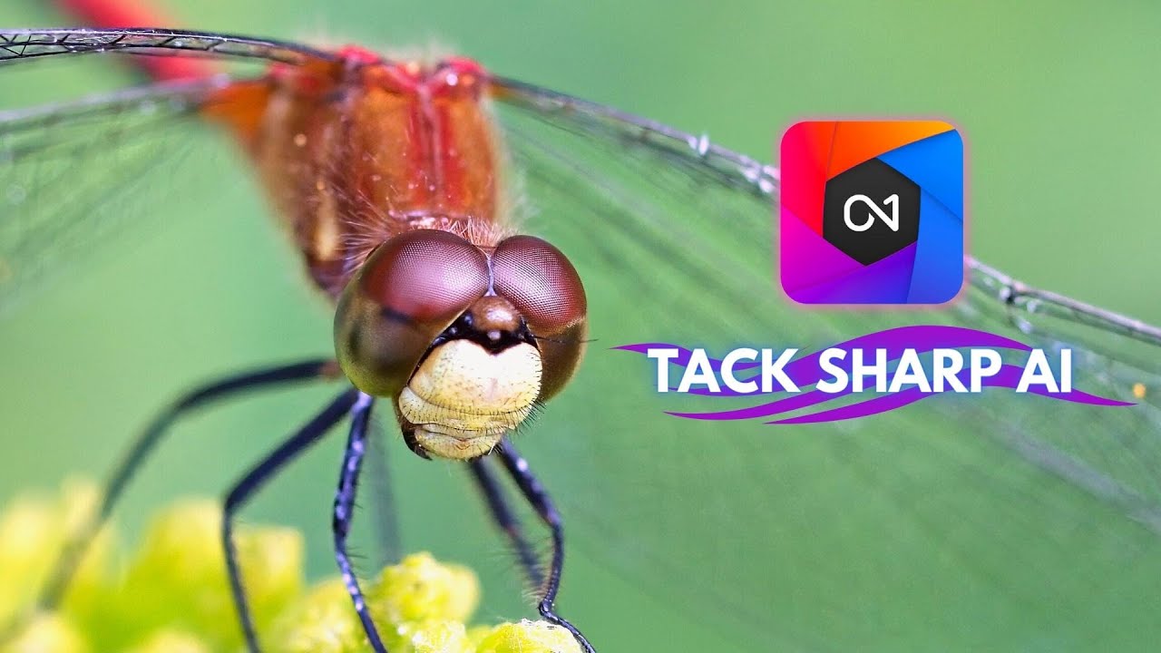 ON1 Photo Raw 2023 Tack Sharp AI A Closer Look - YouTube