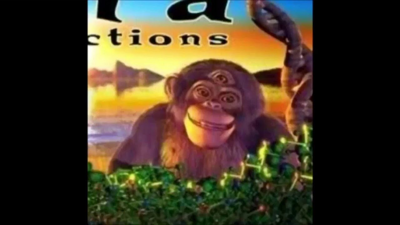 Hi I'm paul roast - YouTube