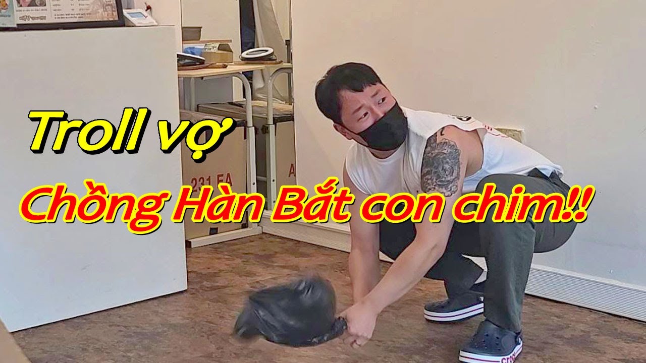 vợ chồng Việt Hàn [Troll vợ] Chồng Hàn bắt con chim!? cái kết thế nào ...