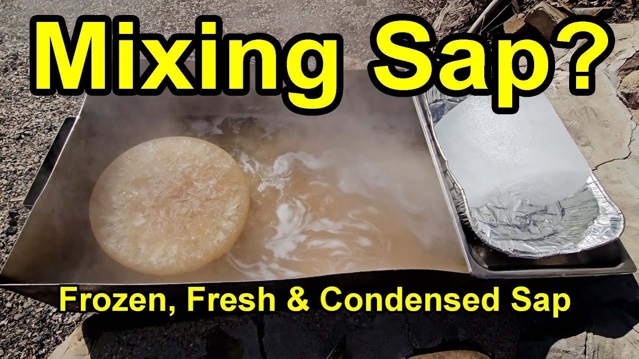 Mixing Batches - Frozen, Fresh & Condensed Sap In 1 Boil Down - How To ...