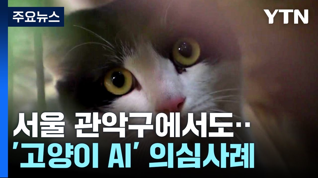 서울서 두 번째 고양이 Ai 의심 사례 긴급 방역조치 Ytn Youtube