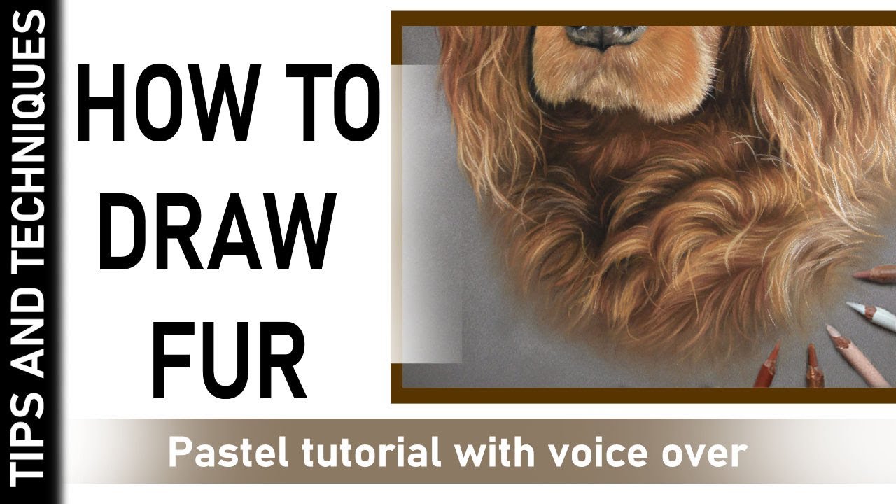 HOW TO DRAW FUR IN PASTELS | CURLY, THICKER FUR | VOICE OVER - YouTube