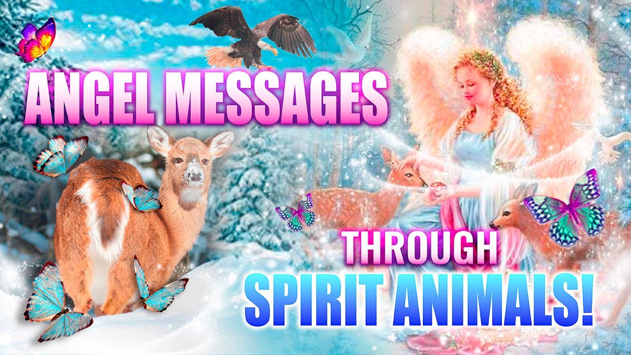 Angel Messages - Pick Your Favorite Spirit Animal - YouTube