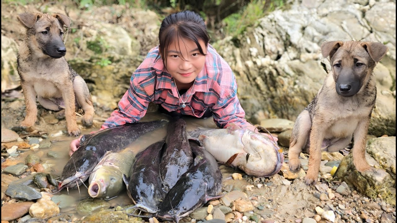A Vietnamese girl and her two dogs go fishing for a living - ha thi ...