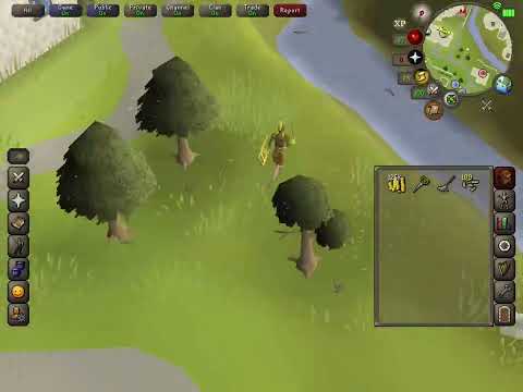 osrs: Level 2 farming—Marigolds