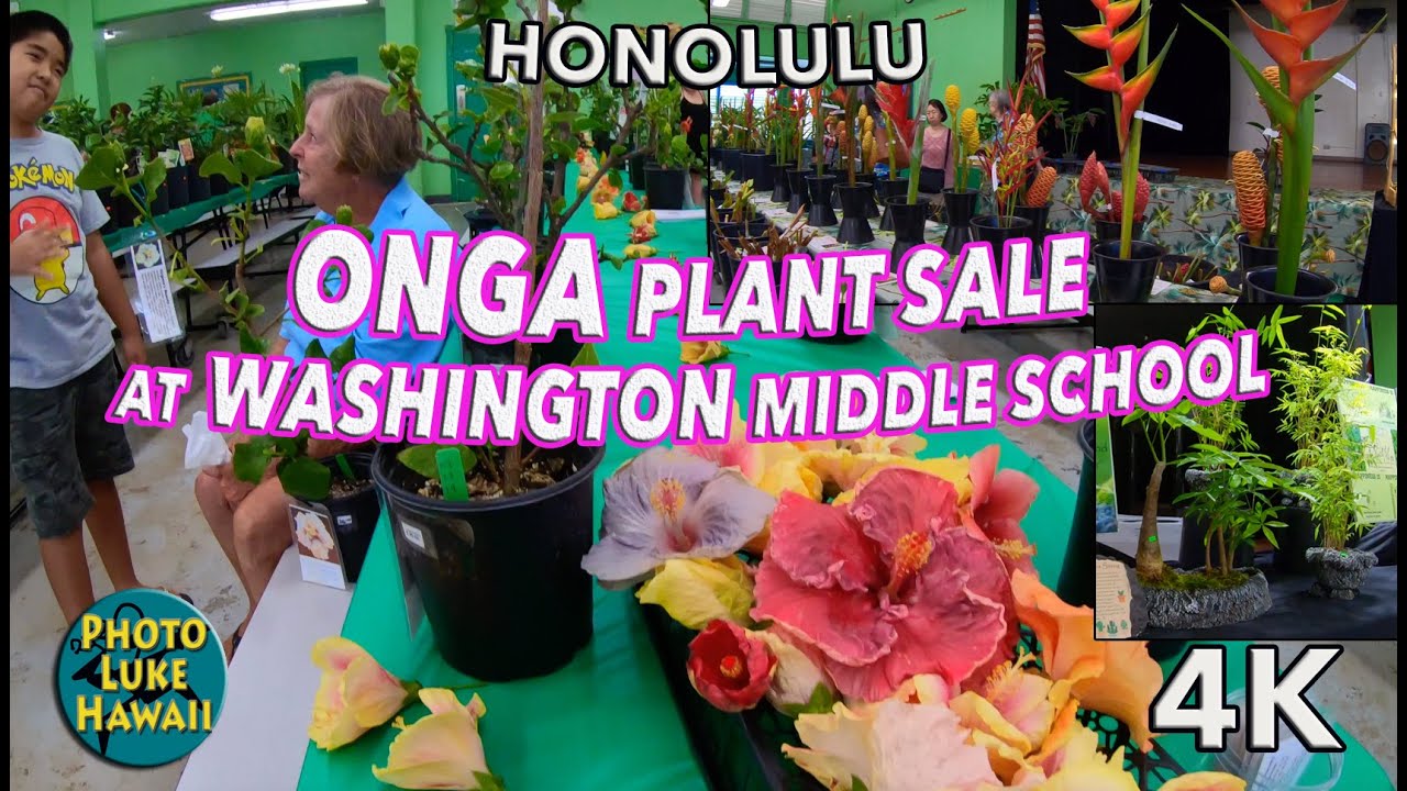 ONGA Plant Sale at Washington Middle School - YouTube
