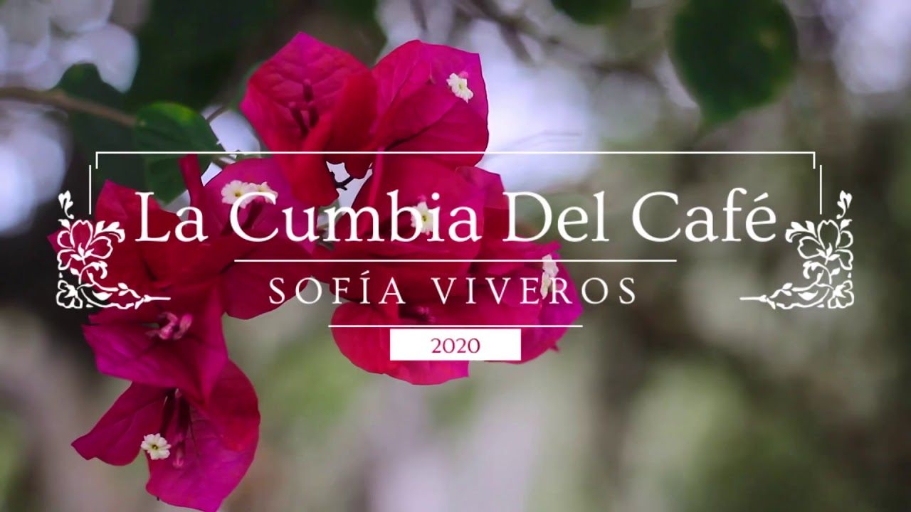LA CUMBIA DEL CAFÉ / SOFIA VIVEROS / CANTA AUTORA - YouTube
