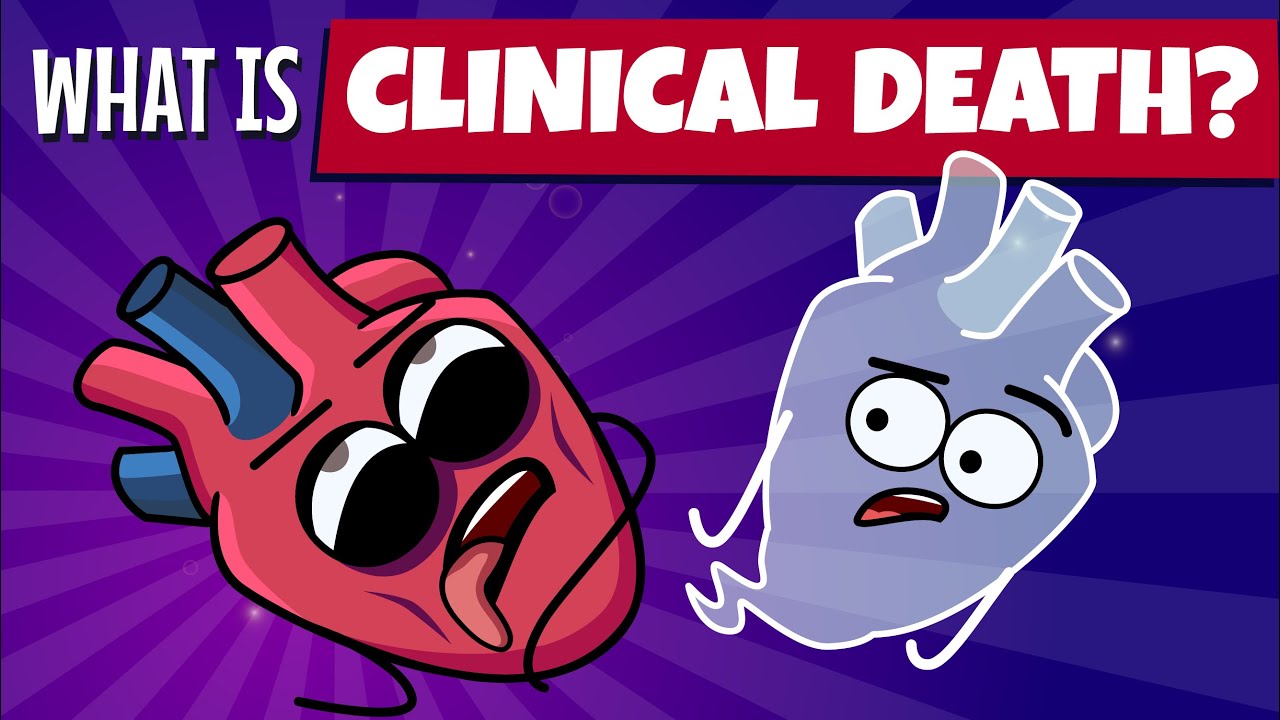 Inside Your Body Experiencing Clinical Death | Organismo - YouTube