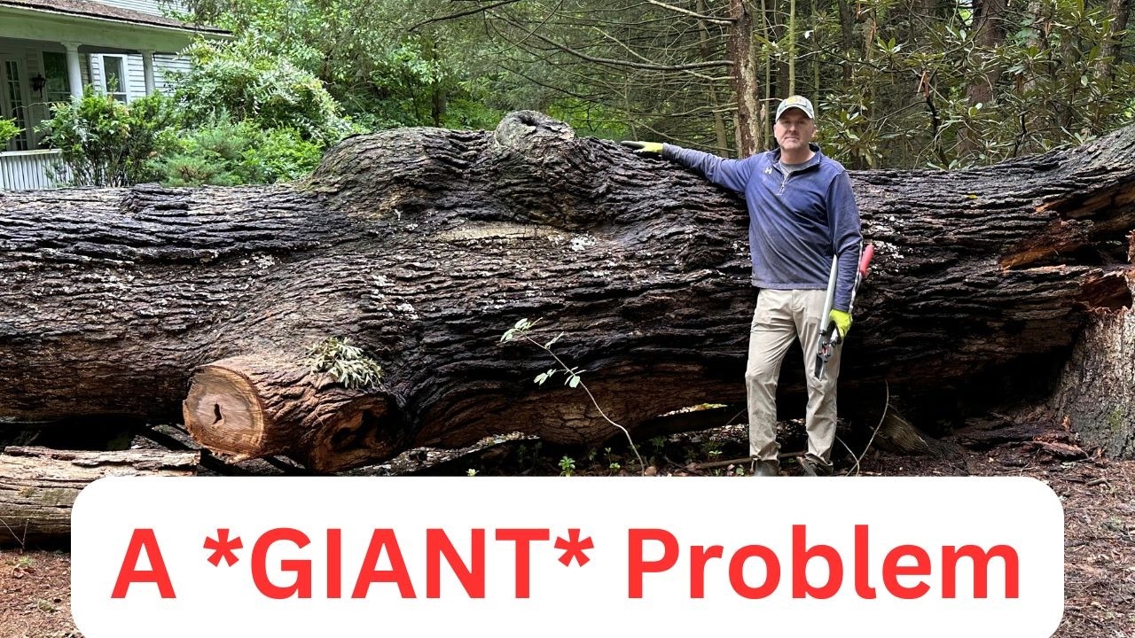 A **GIANT** Problem! - YouTube