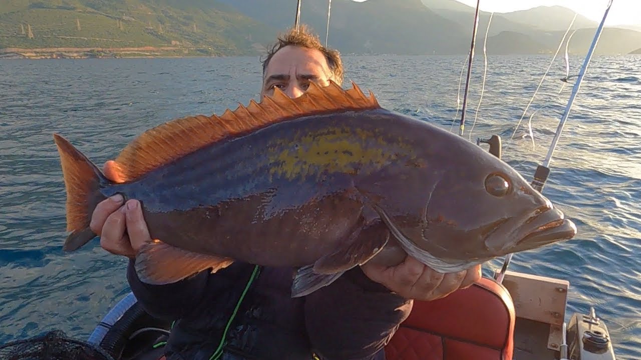 ΨΑΡΕΜΑ EXPRESS με ΜΕΓΆΛΗ ΣΤΗΡΑ 🐟 ΠΩΣ ΝΑ ΒΛΕΠΕΙΣ την ΑΡΜΑΤΩΣΙΑ και η ...