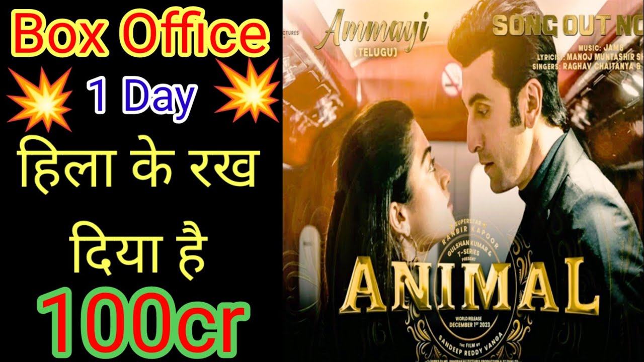 Animal box office collection, animal 1 day collection 1 day - YouTube