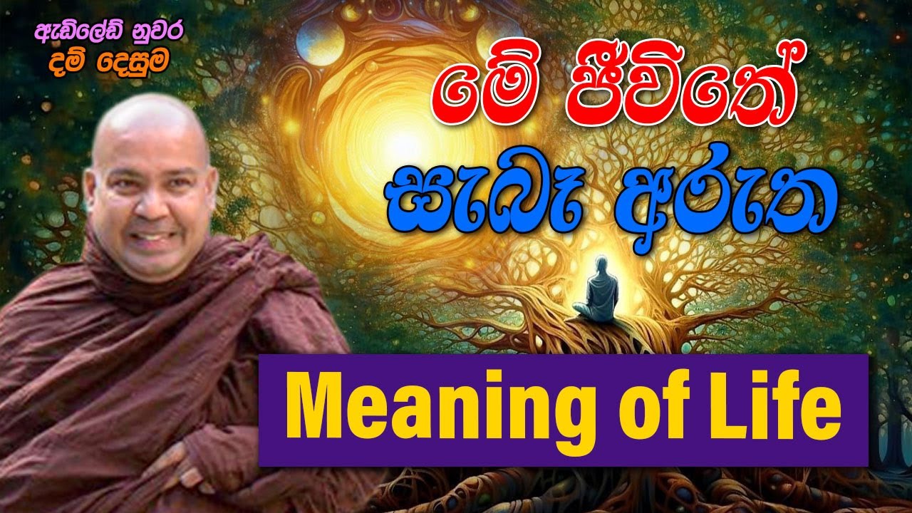 මේ ජීවිතයේ සැබෑ අරුත (English) - Meaning of Life - Ven. Bambalapitiye ...