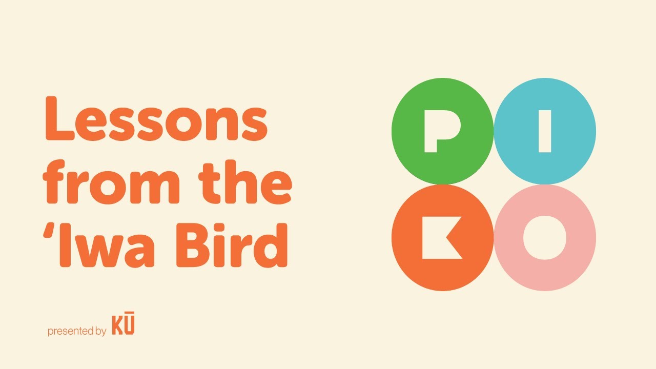 Lessons from the ʻIwa Bird - Piko Moments: A Podcast for the Family ...