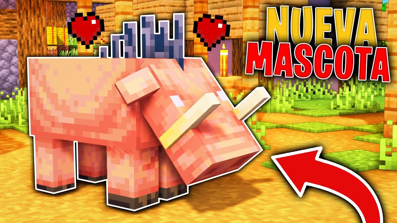 👉COMO DOMAR un HOGLIN *NUEVA MASCOTA* en MINECRAFT 1.16! - YouTube