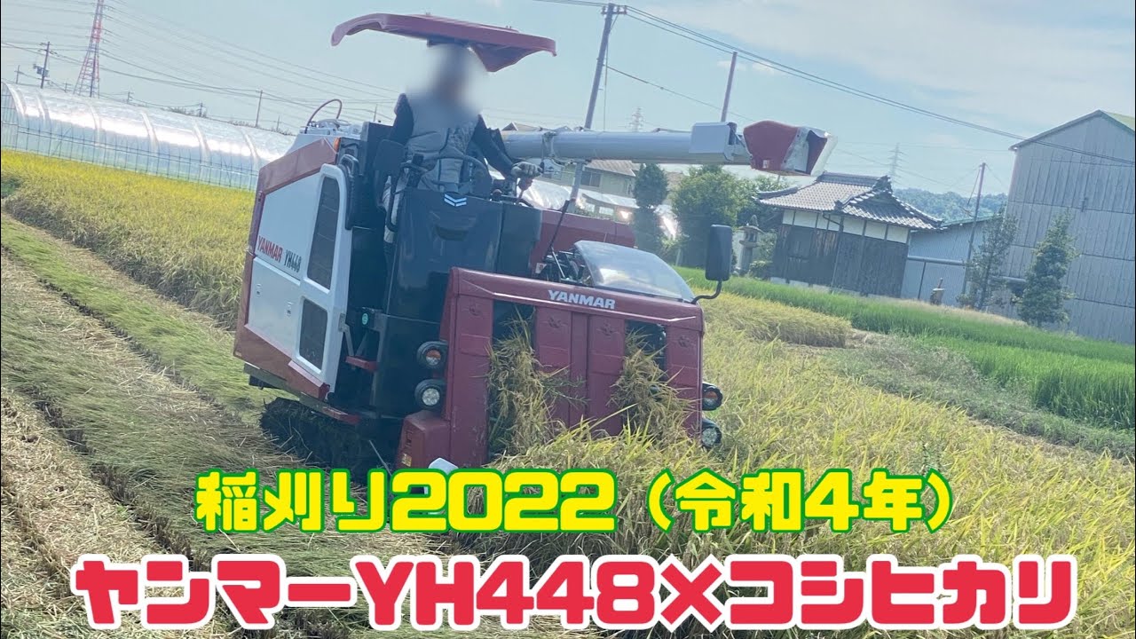 稲刈り2022 ヤンマーコンバイン！YH448×コシヒカリ - YouTube